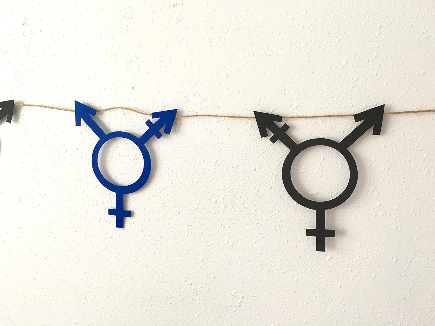 Amazon.com: Transgender Banner, Transgender glitter banner ...