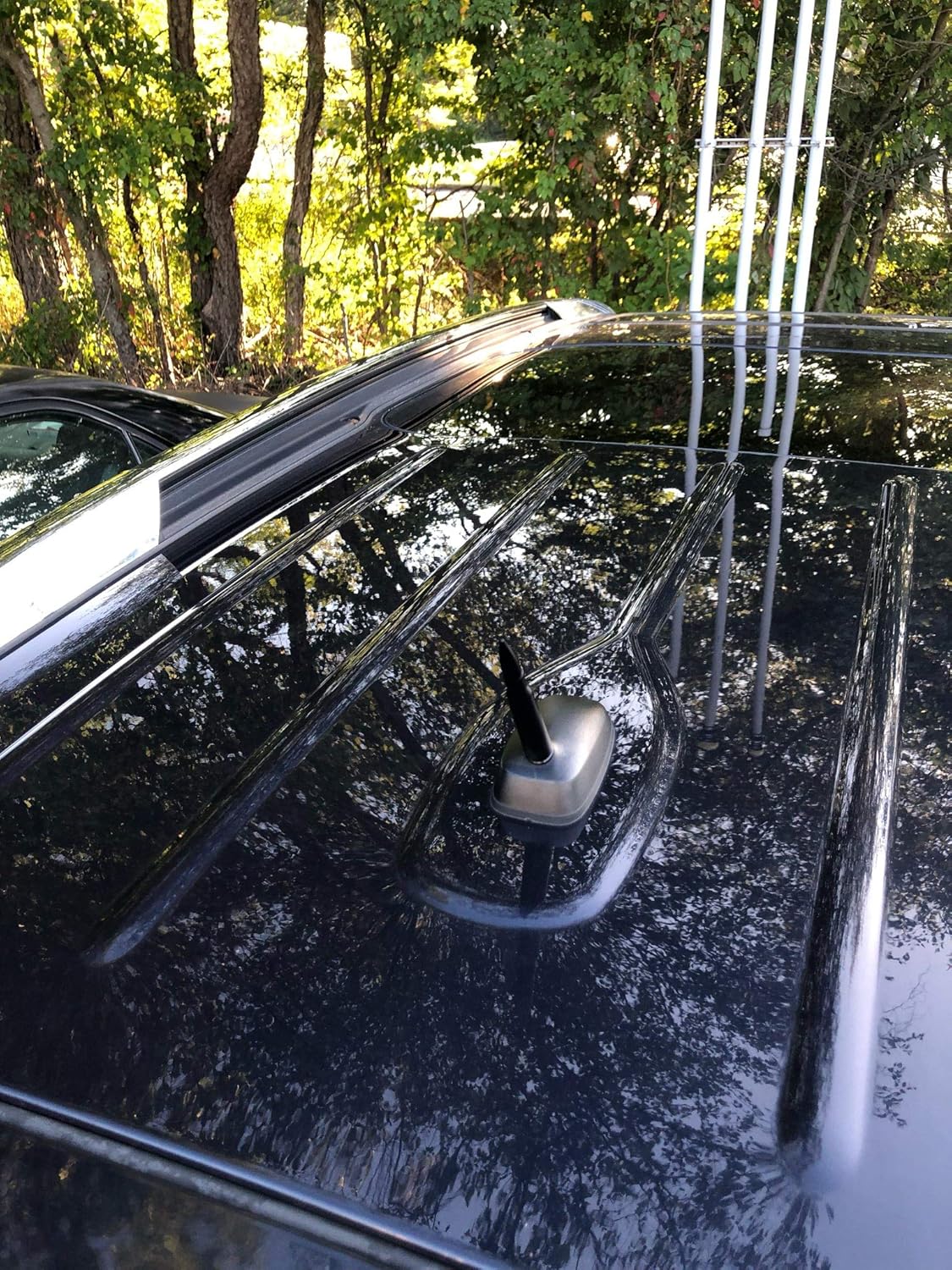 Amazon.com: Bullet Style Antenna Mast for Buick Enclave 2008-2017 ...