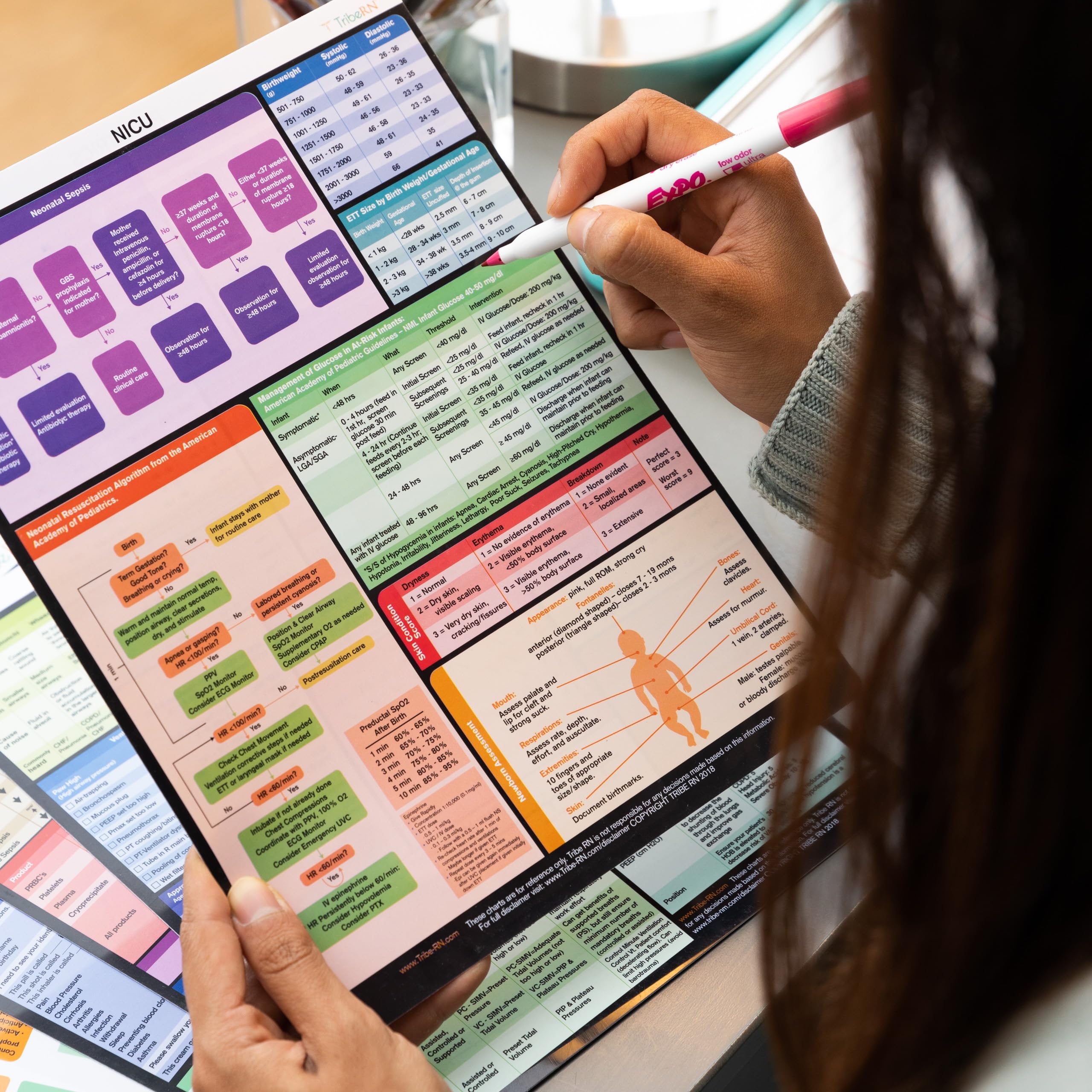 Snapklik.com : Nursing Cheat Sheets By Tribe RN - 6 Heavy Duty Medical ...