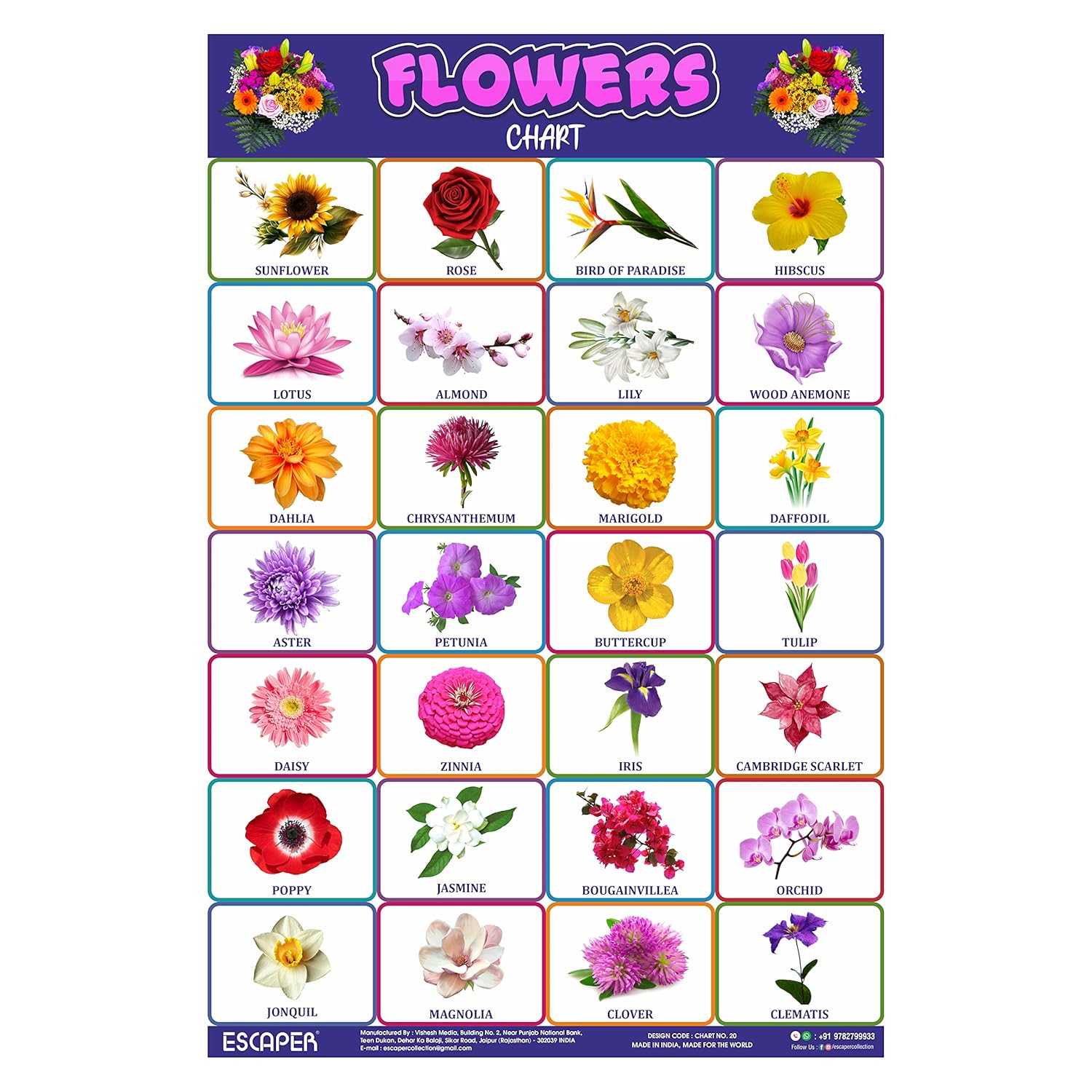 ESCAPER Flowers Chart for Kids learning (11.5 x 17.5 inches), Flowers ...