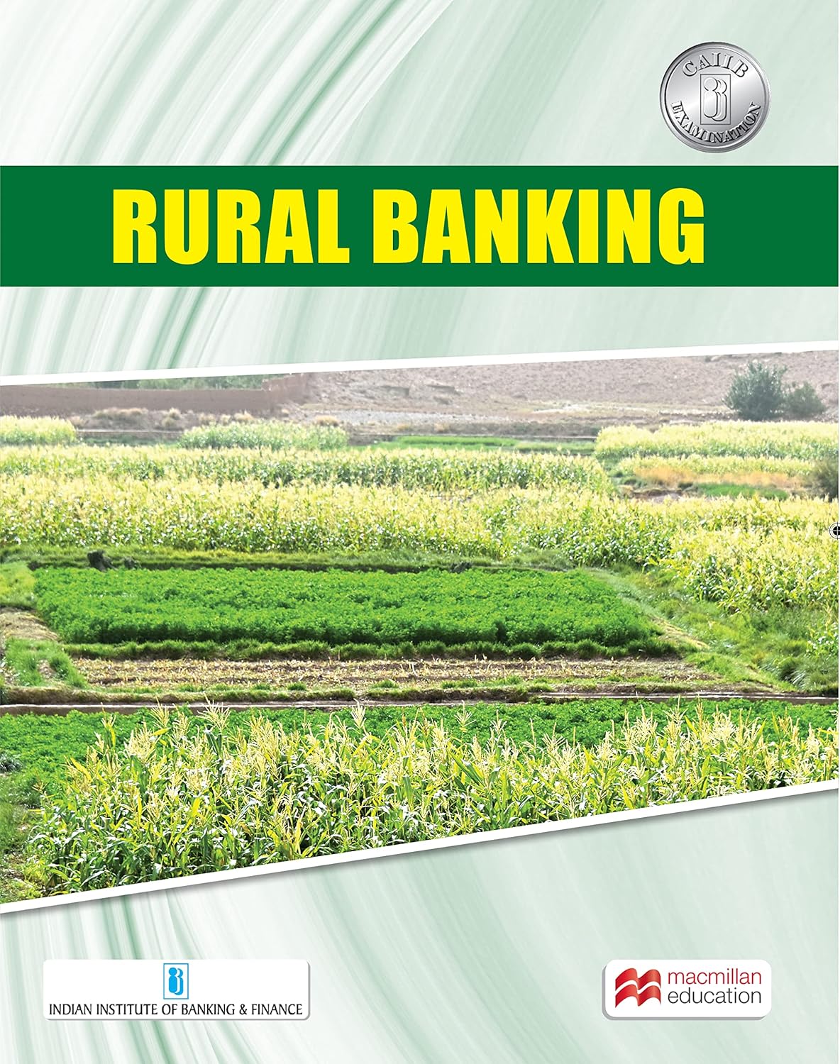 Buy Macmillan Education – Rural Banking: First Edition | CAIIB Elective ...