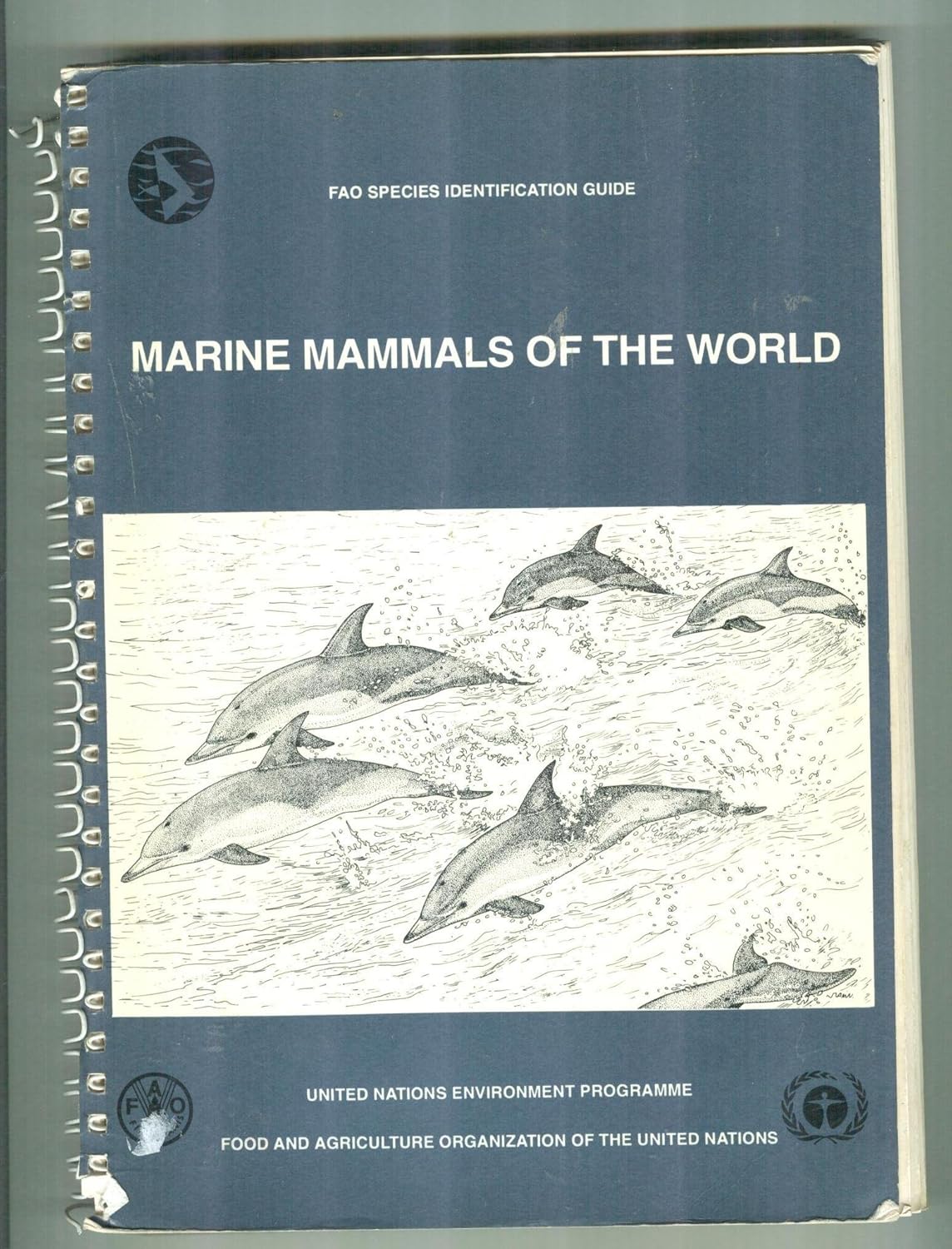 Amazon | Marine Mammals of the World: Species Identification Guide (FAO ...