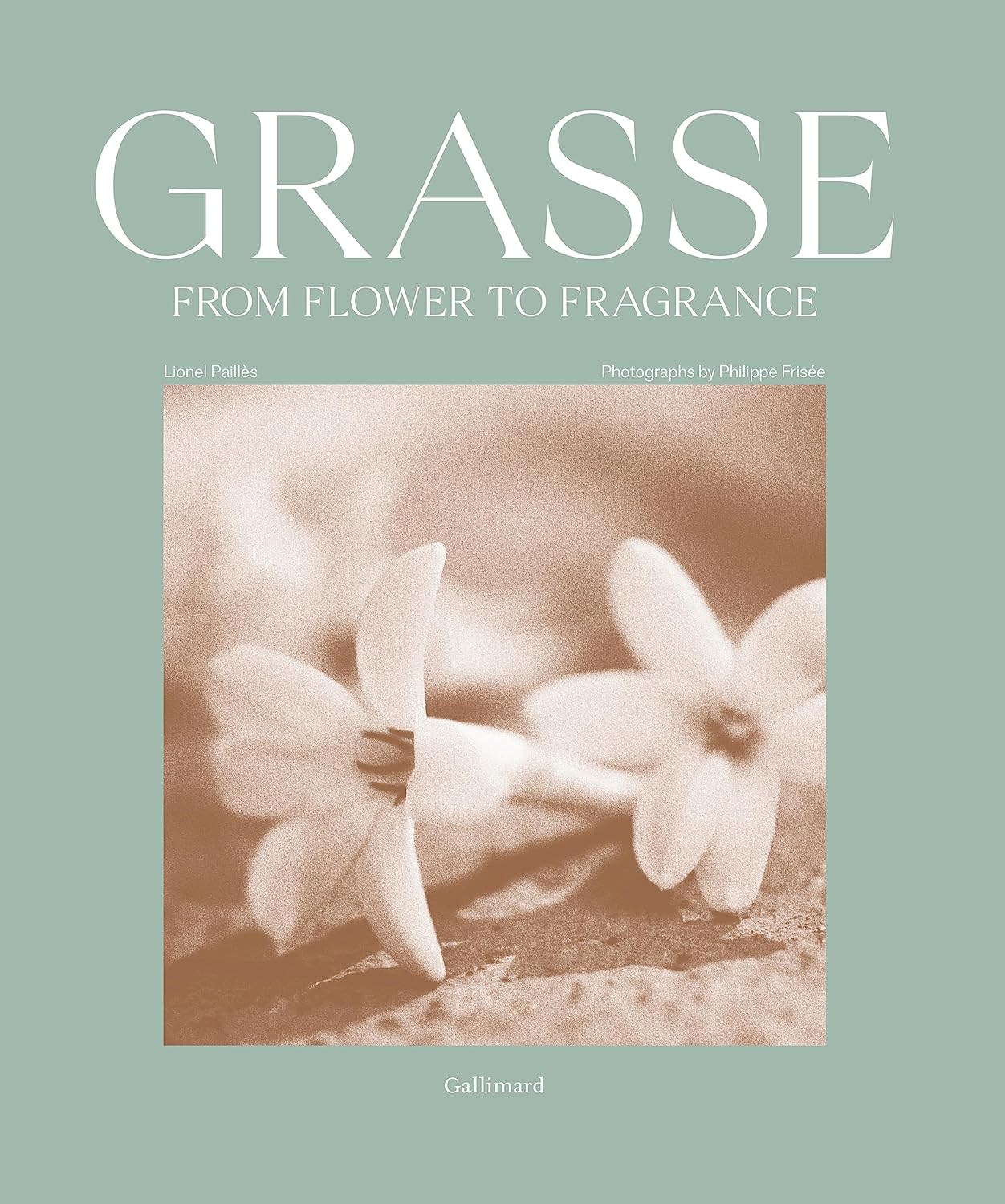 Amazon.com: Grasse, From Flower to Fragrance: Édition en anglais ...