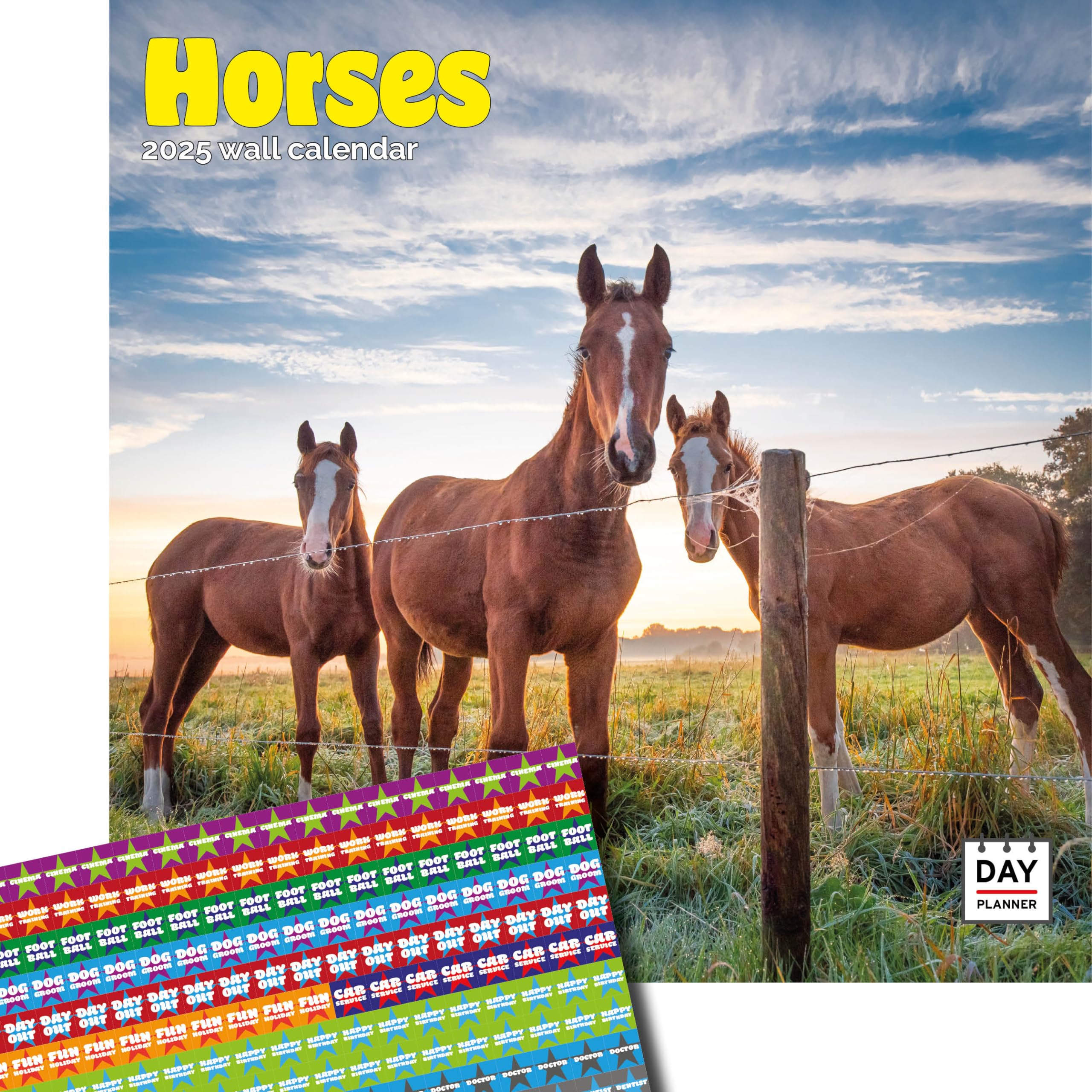 Dayplanner Publishing Horses Calendar 2025, Large Wall Calendar With ...