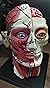 Amazon.com: 4D Vision Human Head Anatomy Model : Toys & Games