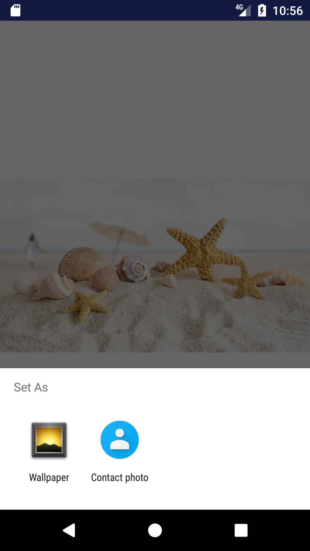 Starfish Wallpaper HD Free - App on Amazon Appstore