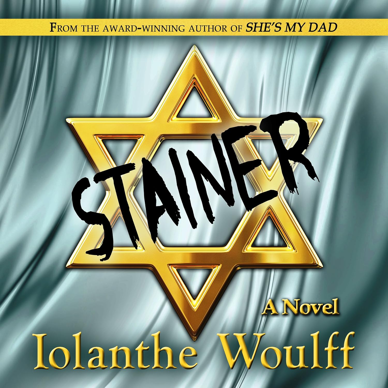 Amazon.com: Stainer: A Novel of the 'Me Decade' (Audible Audio Edition ...