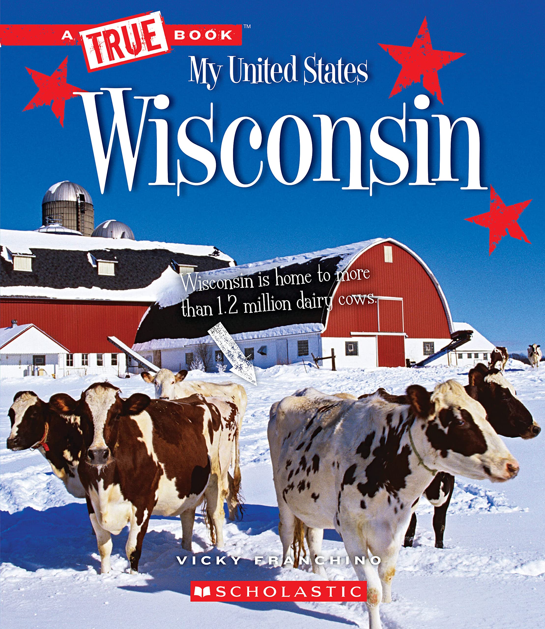 Wisconsin (A True Book: My United States): Franchino, Vicky ...