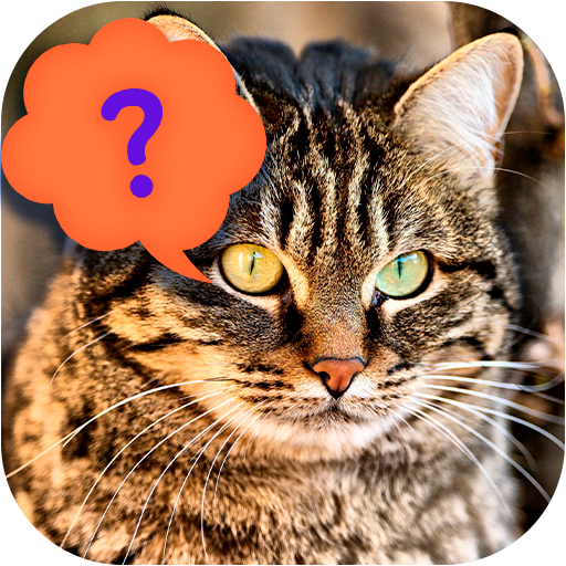 Cat games free.Word search games for kindle fire - App on Amazon Appstore
