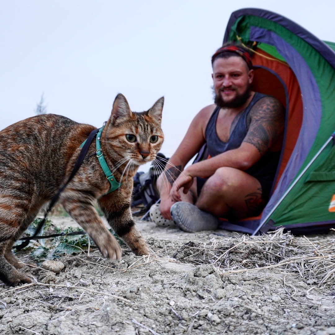 Amazon.co.uk: Dean Nicholson: books, biography, latest update