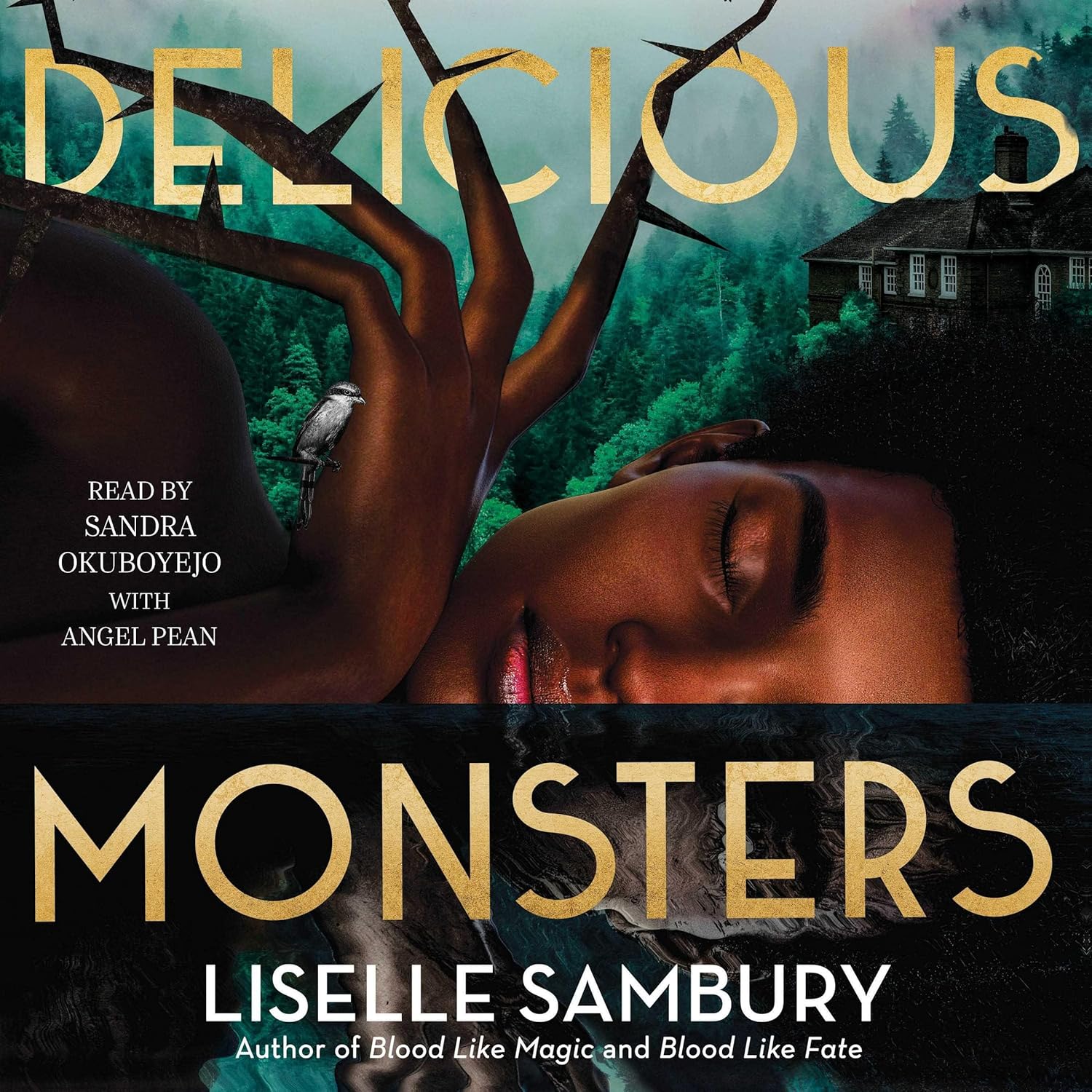 Amazon.com: Delicious Monsters: 9781797152424: Liselle Sambury: Books