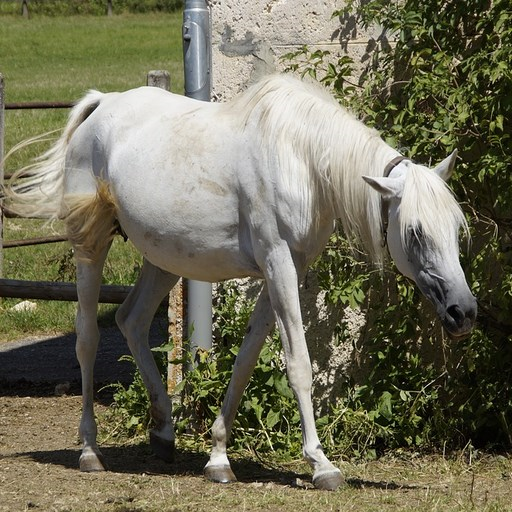 Tyfan - App on the Amazon Appstore