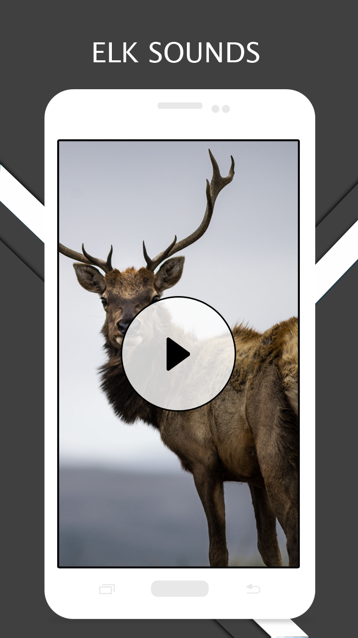 Elk Sounds And Ringtones:Amazon.com:Appstore for Android