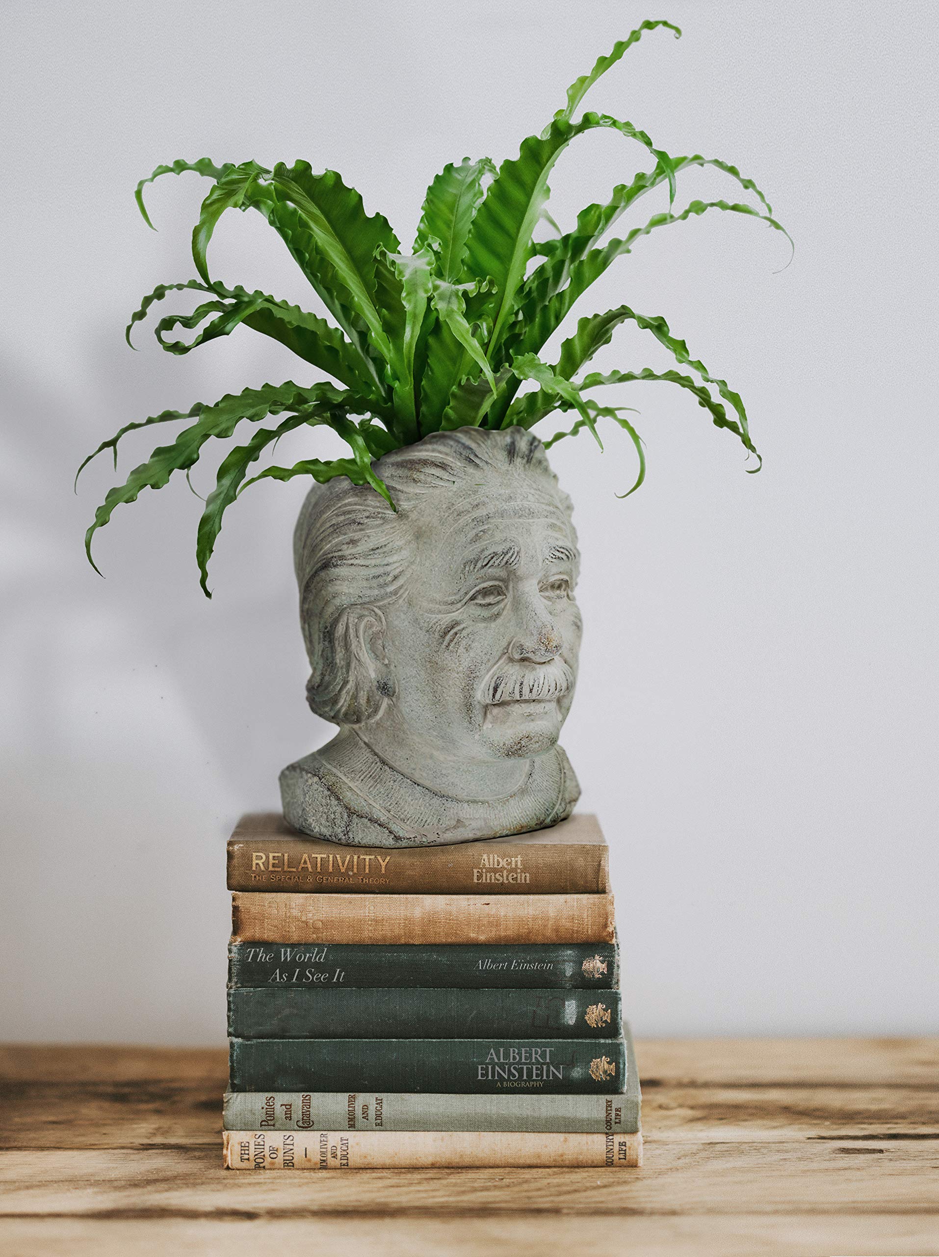 Snapklik.com : Abbott Collection Small Einstein Head Planter, Grey