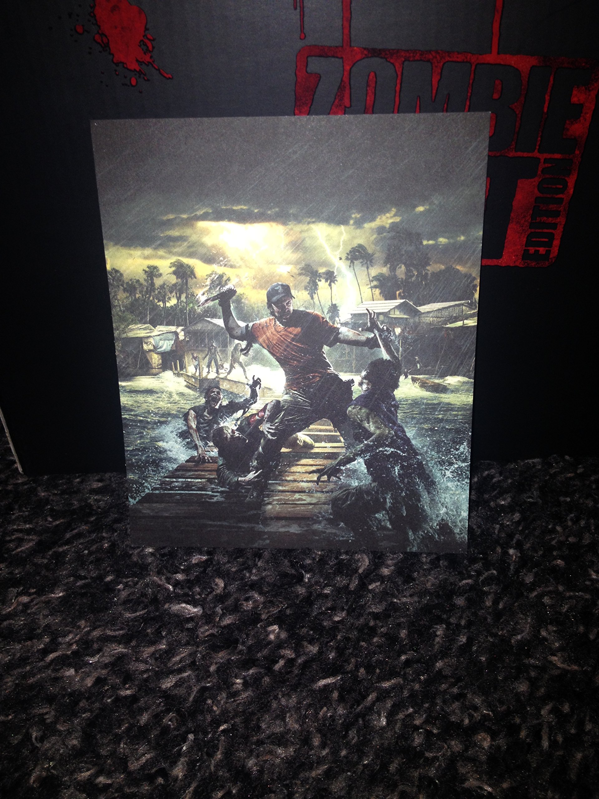 Dead Island Zombie Bait Edition PlayStation Home Guide: Dead Island
