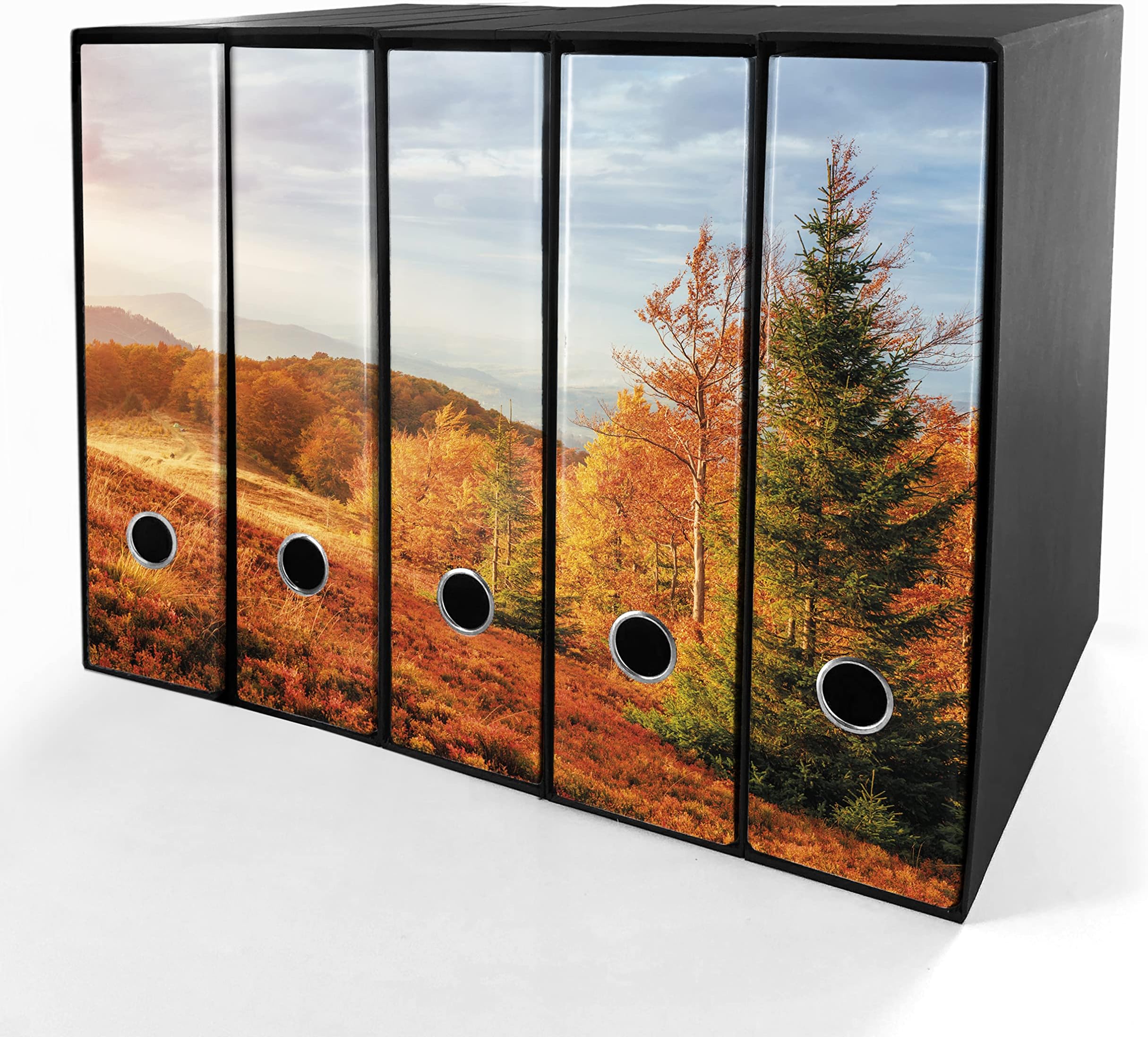 Set da 5 raccoglitori ad anelli FIRENZE - Faldoni SHAREPRINTING (H31 con 4 anelli) : Amazon.it ...