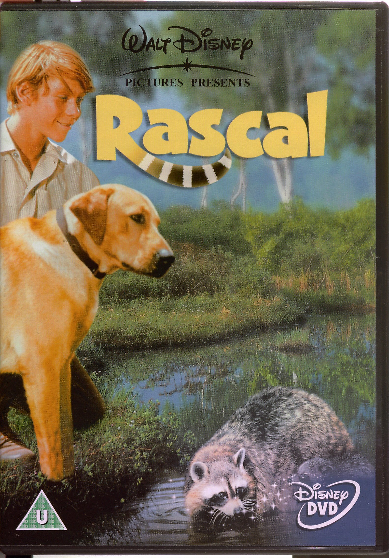 Rascal [DVD] [1969]: Amazon.co.uk: Steve Forrest, Bill Mumy, Pamela ...