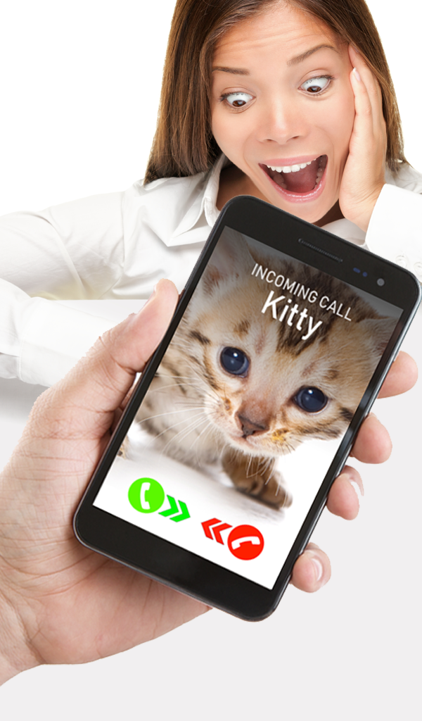 Fake Call From Kitten Prank - App on Amazon Appstore