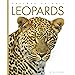 Amazing Animals: Leopards: Riggs, Kate: 9780898126952: Amazon.com: Books