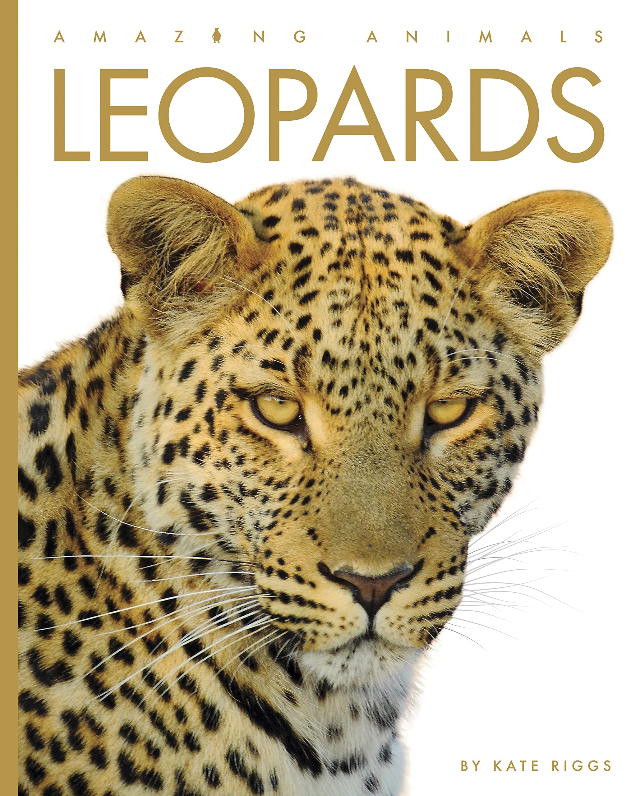 Leopards (Amazing Animals): Riggs, Kate: 9781682771020: Amazon.com: Books