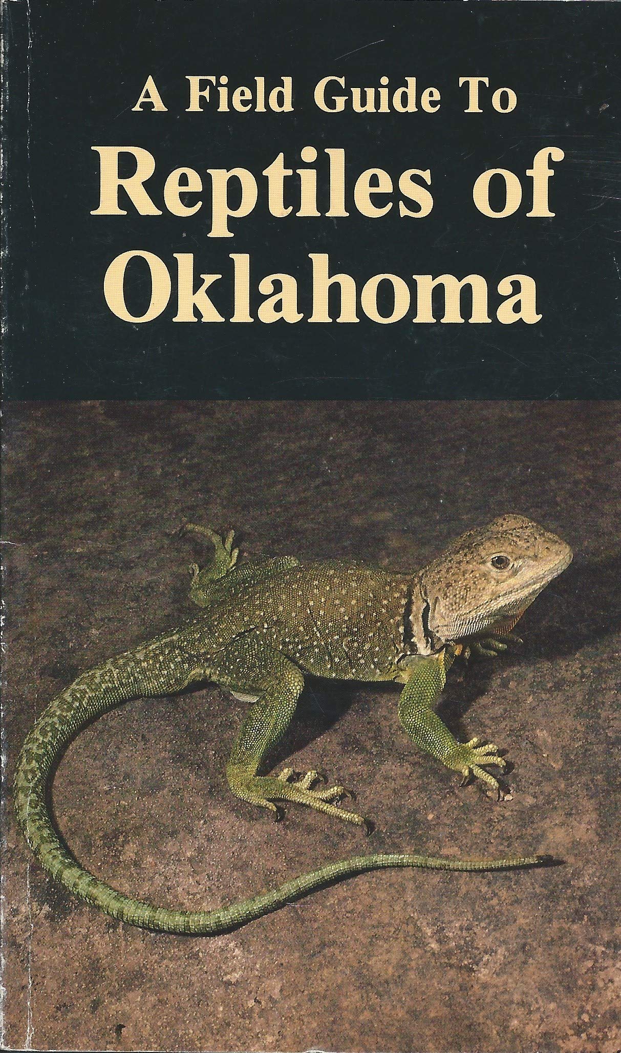A Field Guide to Reptiles of Oklahoma: Gregory Sievert, Lynette Sievert ...