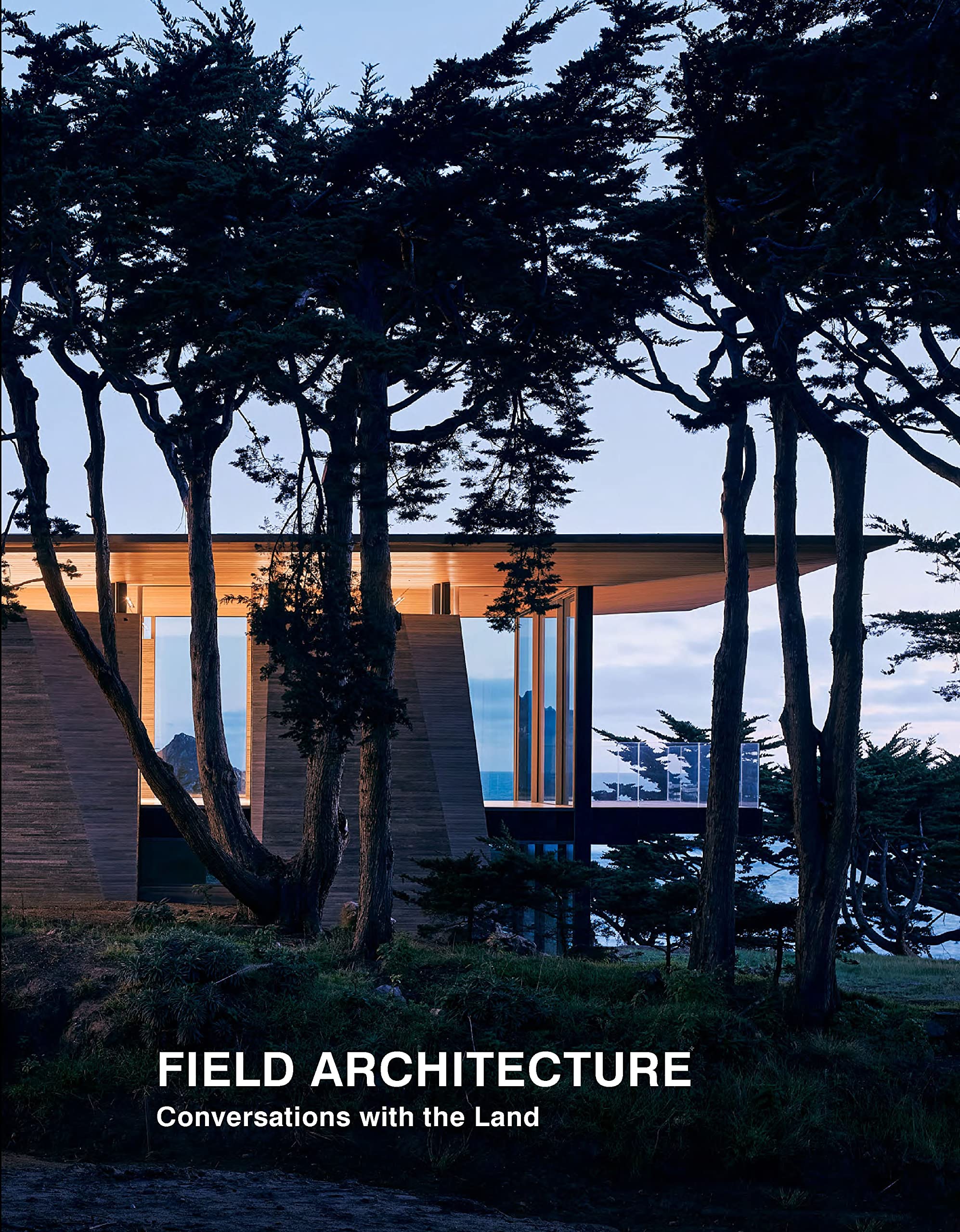 Field Architecture: Conversations with the Land: Ojeda, Oscar Riera ...