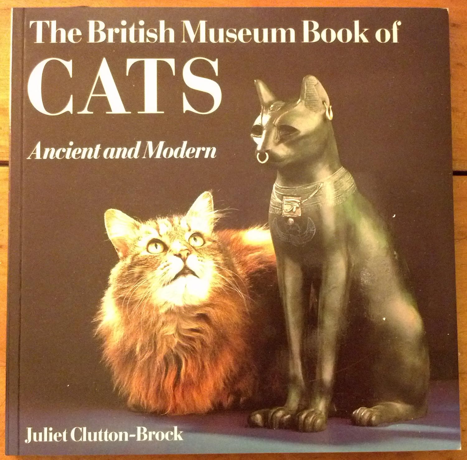 British Museum Book of Cats: Juliet Clutton Brock: 9780714117584 ...