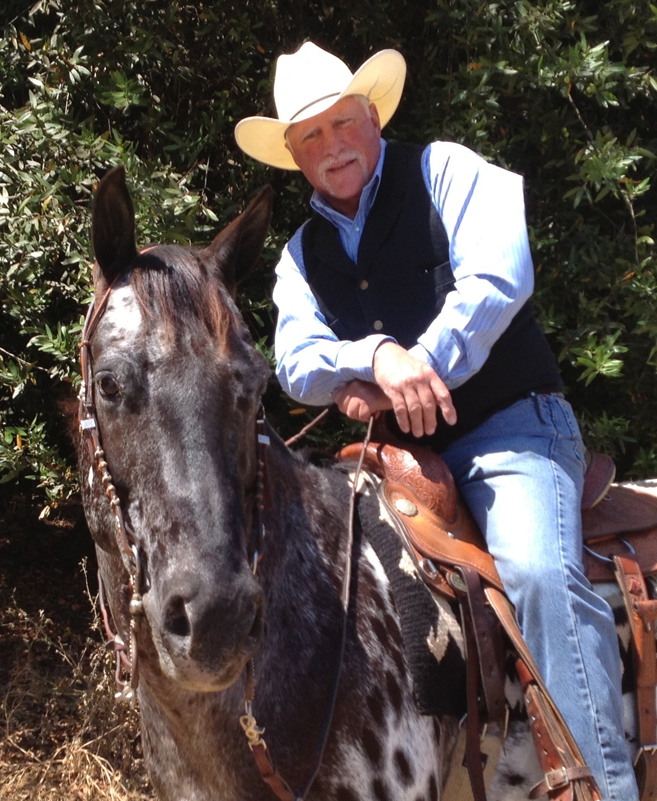 The Adventures of Bo Avery: Shanghaied: A Western Adventure - Kindle ...