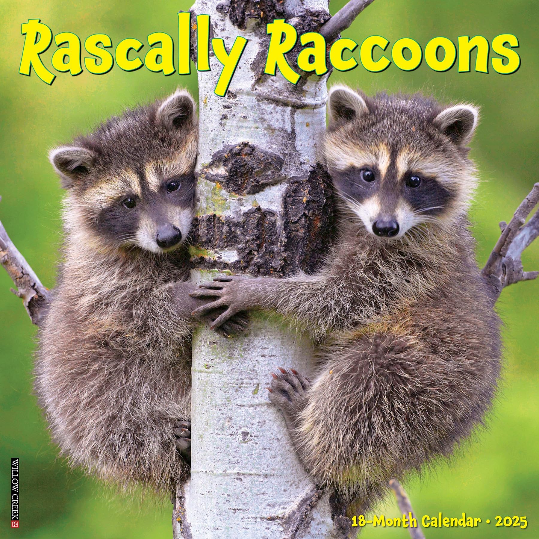 Amazon.com: Rascally Raccoons 2025 12" x 12" Wall Calendar : Willow ...
