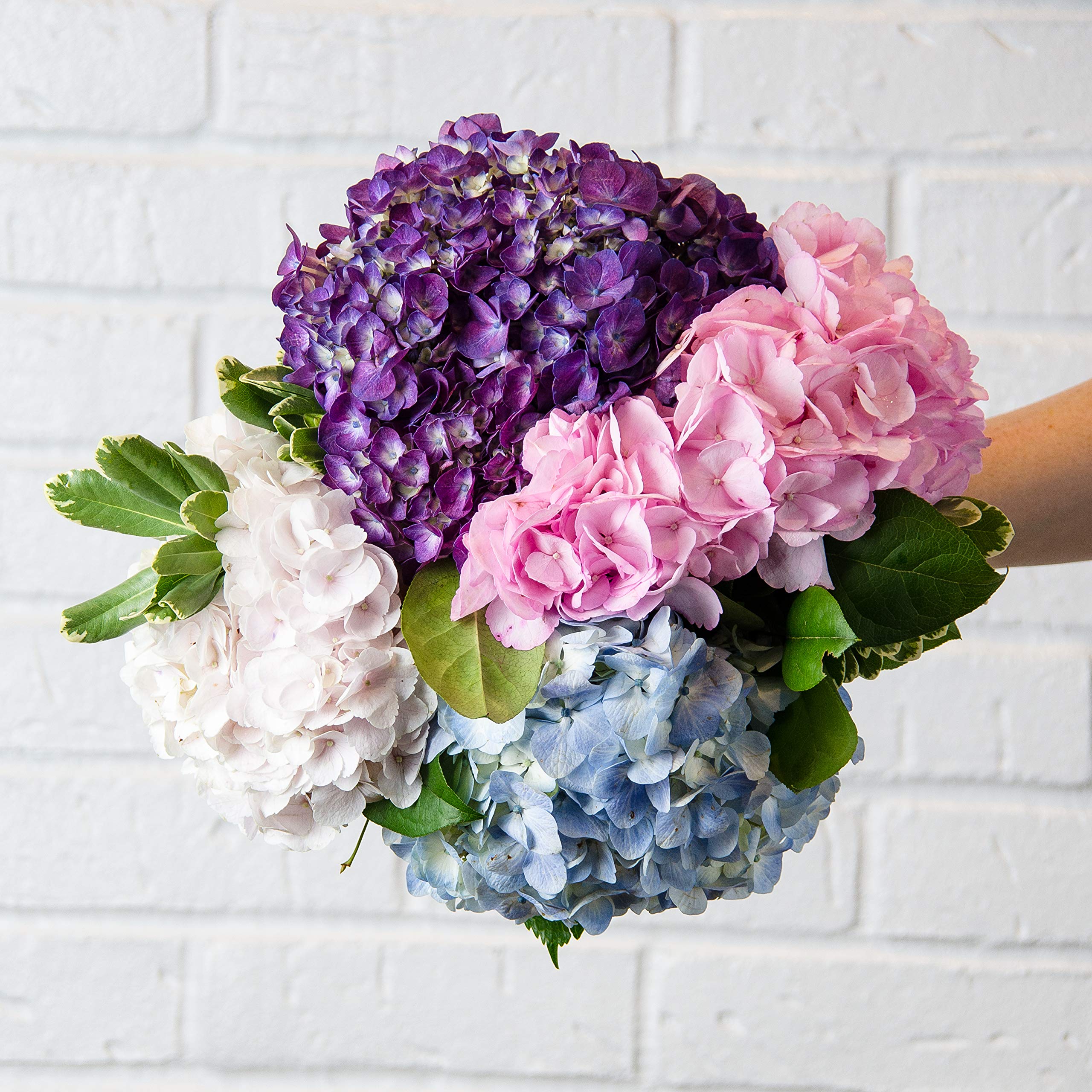 White Hydrangea Bouquet With Purple