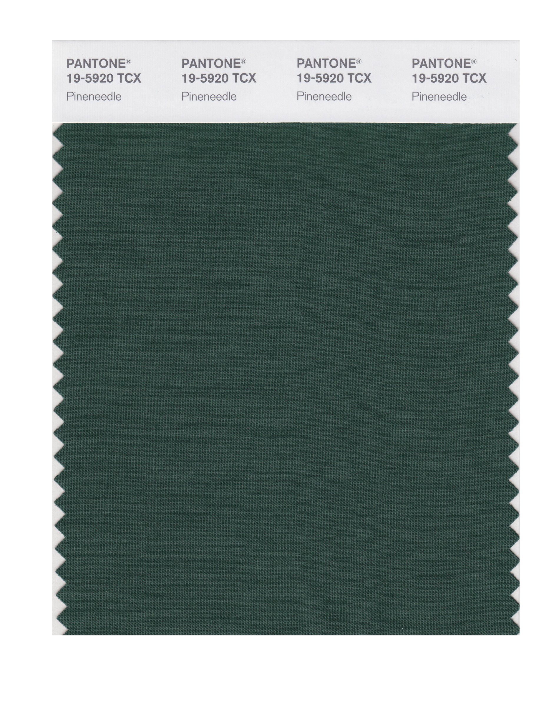 PANTONE Smart 19-5920X Color Swatch Card, Pineneedle - House Paint ...