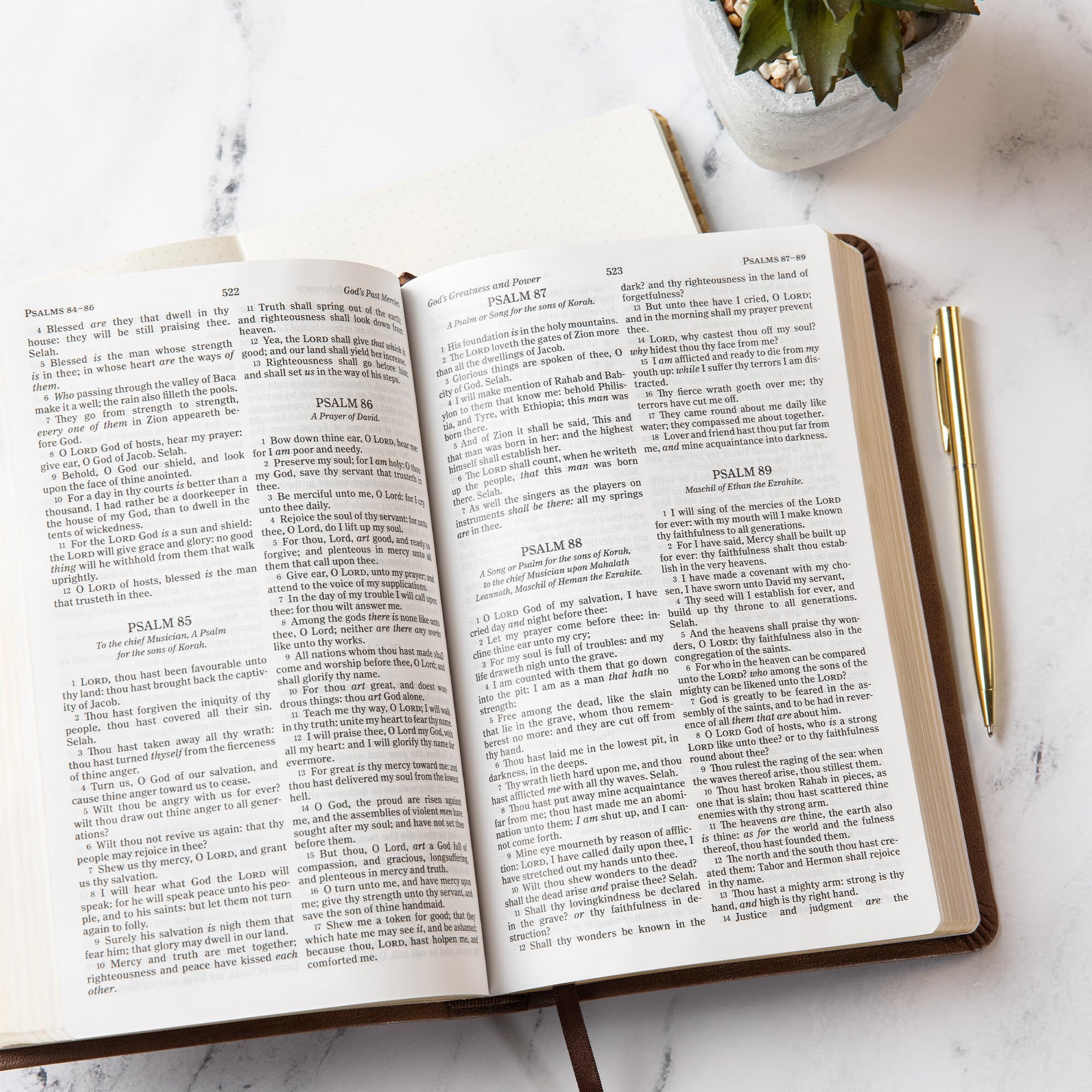 Snapklik.com : KJV Thinline Bible, Brown LeatherTouch, Red Letter, Pure ...