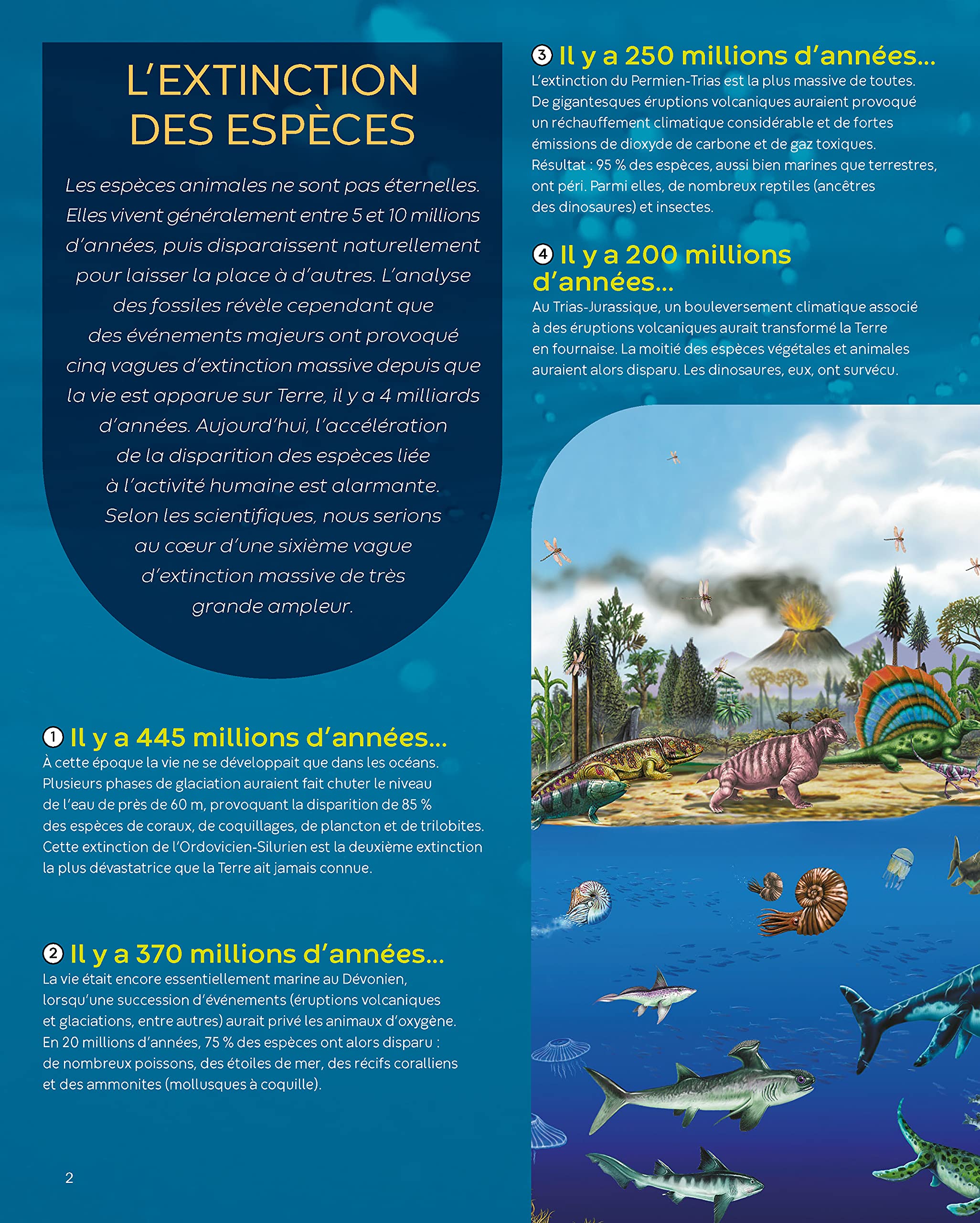 Animaux Africains En Voie De Disparition | siapp.cuaed.unam.mx