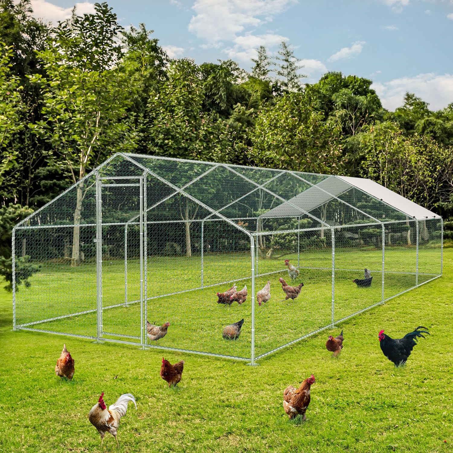 Amazon.com: TOETOL Outdoor Chicken Coop, Walk-in Poultry Habitat with Spire-Shaped Cage ...