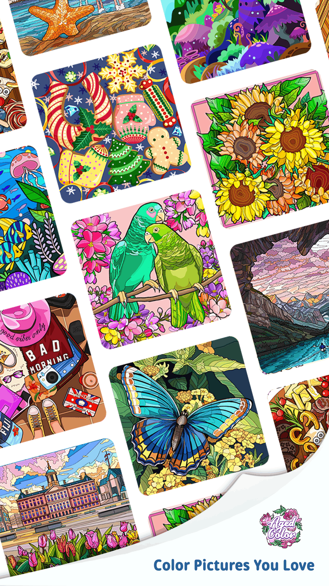 AGED Color - App on the Amazon Appstore