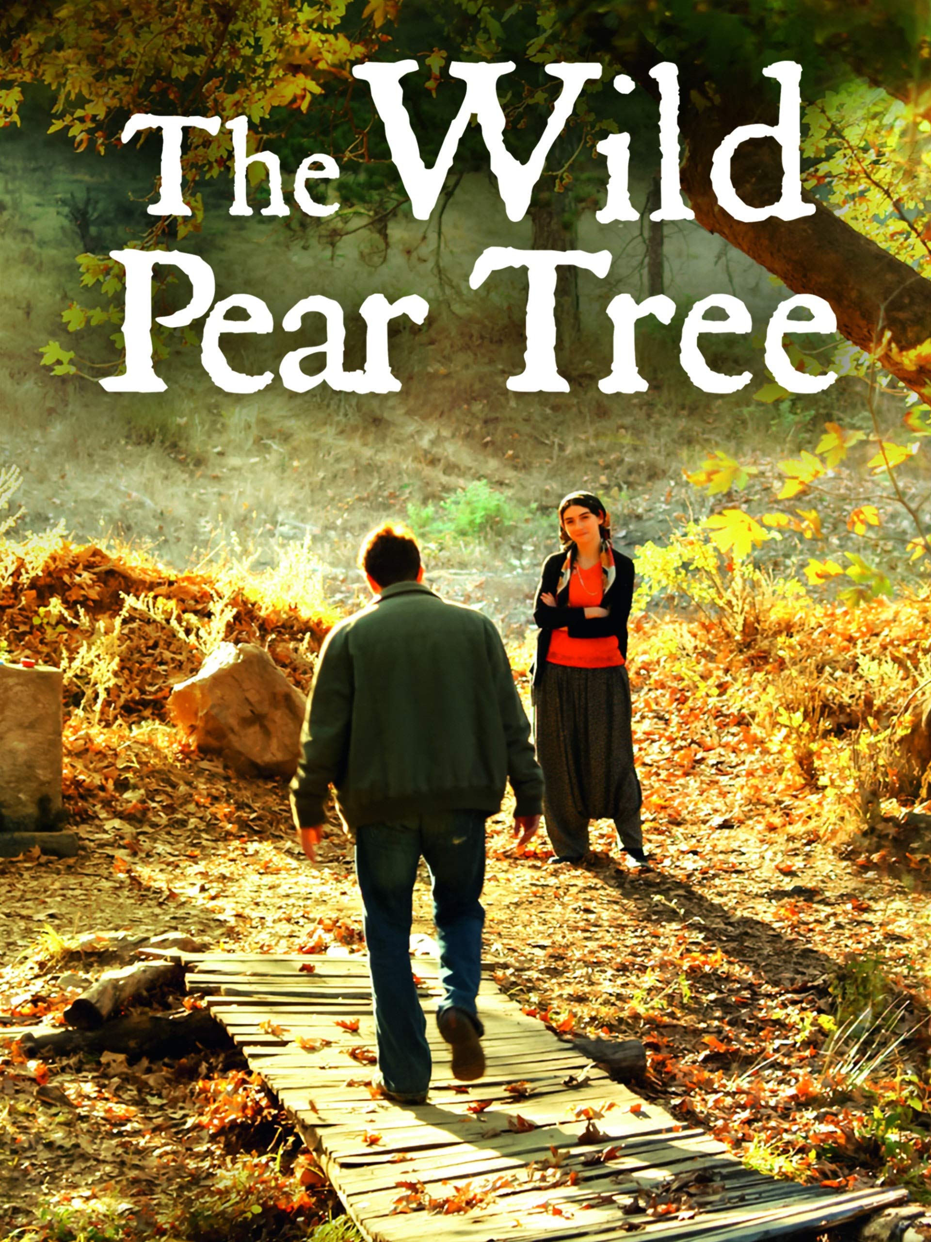Watch The Wild Pear Tree | Prime Video