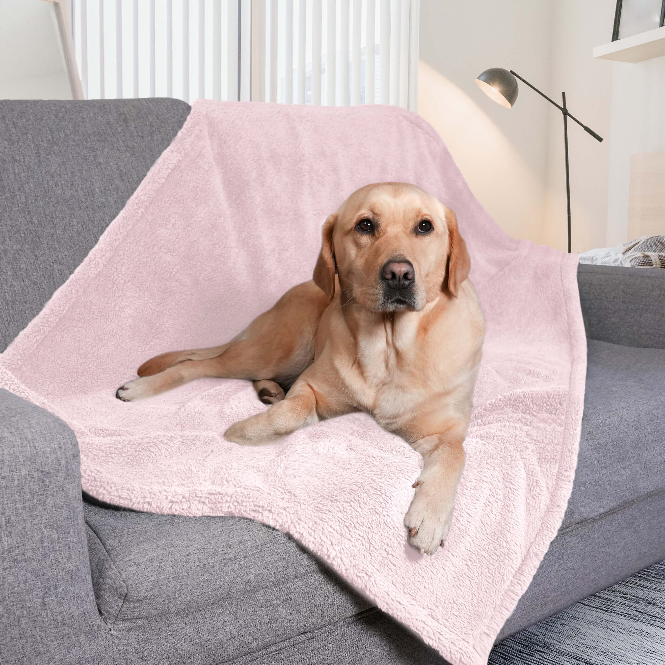 Amazon.com : PETHUR Waterproof Dog Blankets for Large Dogs, Large Dog ...