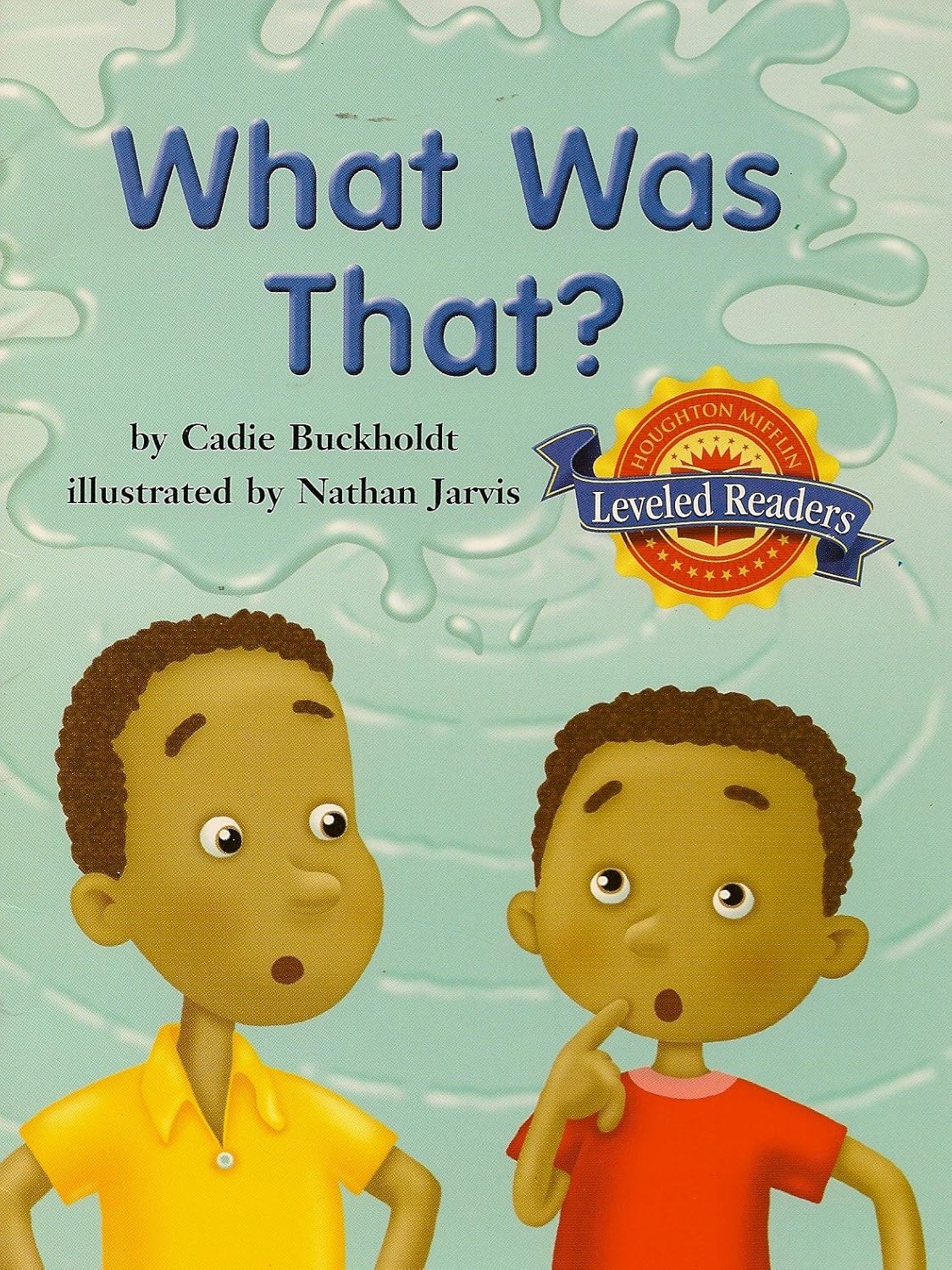 What Was That?: Cadie Buckholdt, Nathan Jarvis: 9780618287185: Amazon ...
