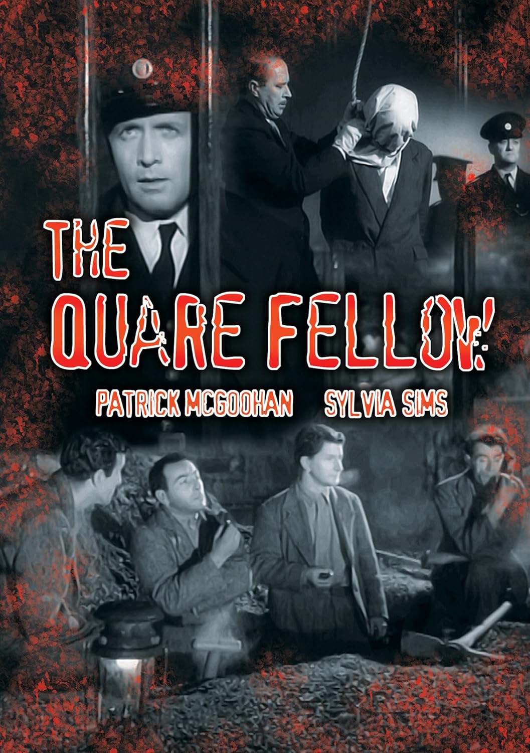 Amazon.com: The Quare Fellow : Sylvia Syms, Harry Brogan, Jack ...