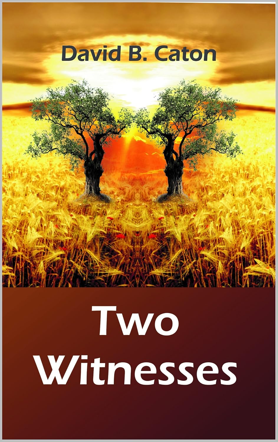 Amazon.com: Two Witnesses (Millennial Reign Series Book 2) eBook ...