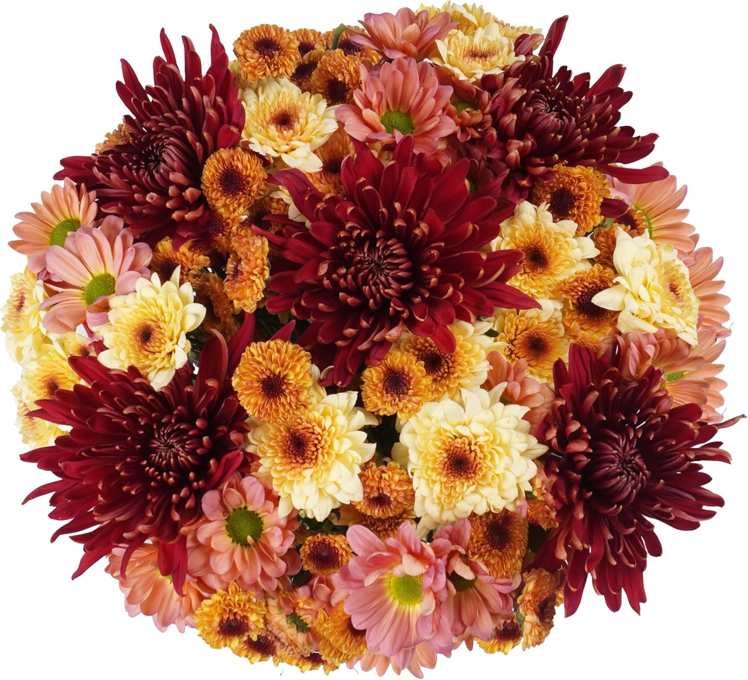 Amazon.com: Fall Poms Big Bunch : Arts, Crafts & Sewing