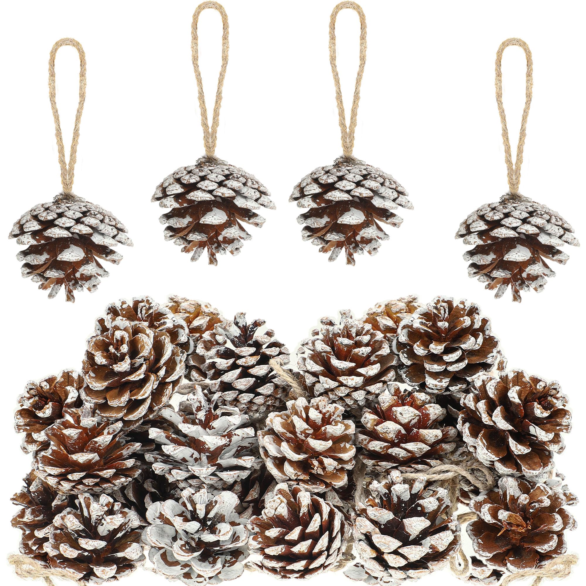 Amazon.com: 30 Pcs Christmas Pine Cones Ornament Bulk Natural Pinecones ...