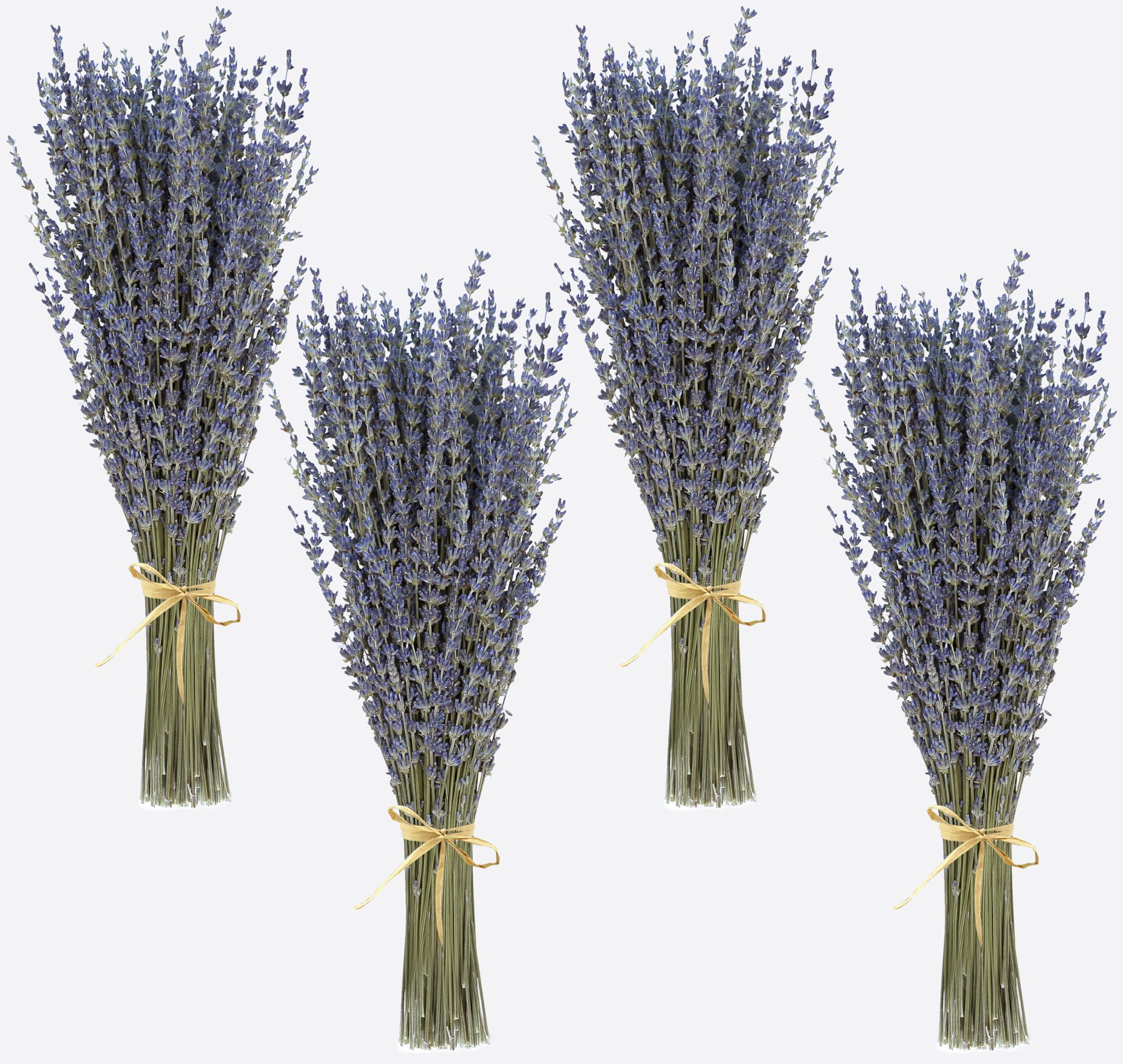5 Best Dried Lavender Bouquet | Stop Buying Scentless Bunches
