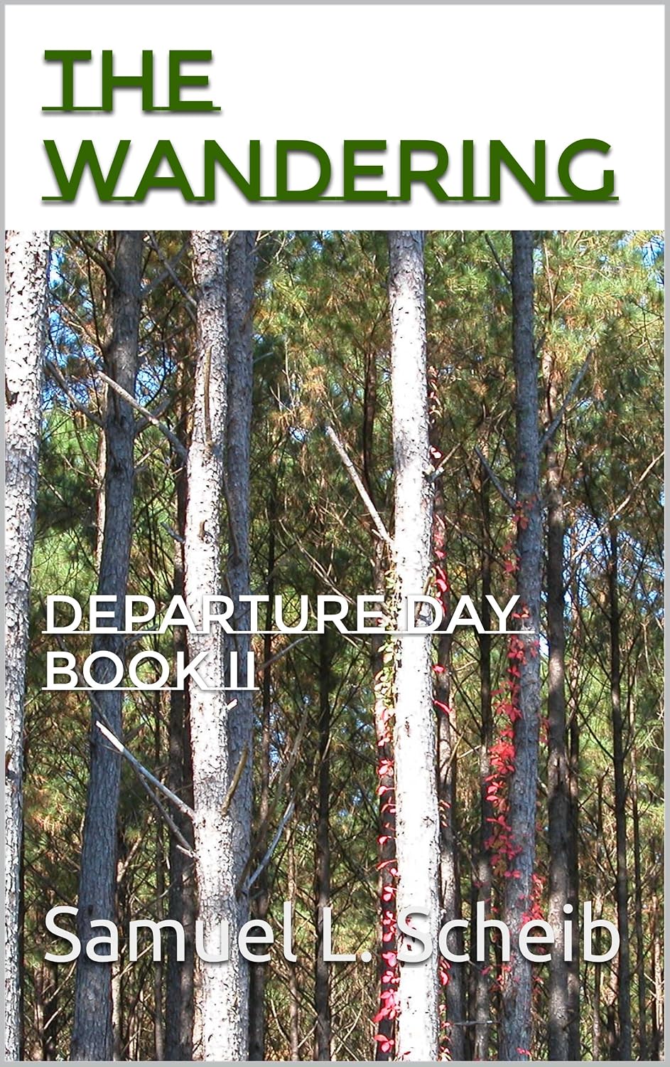 Amazon.com: The Wandering: Departure Day Book II eBook : Scheib, Samuel ...
