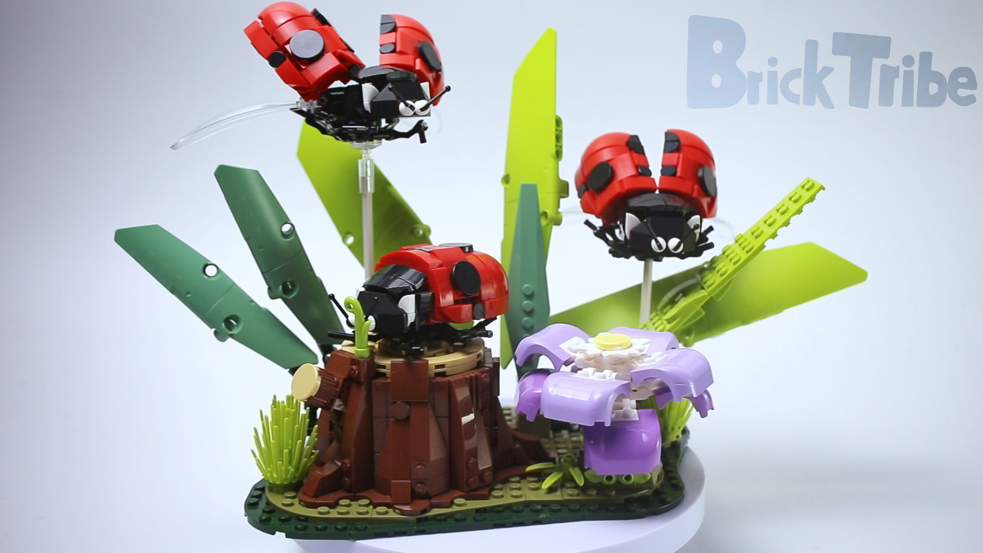 Kits De Mariquitas Para El Aula