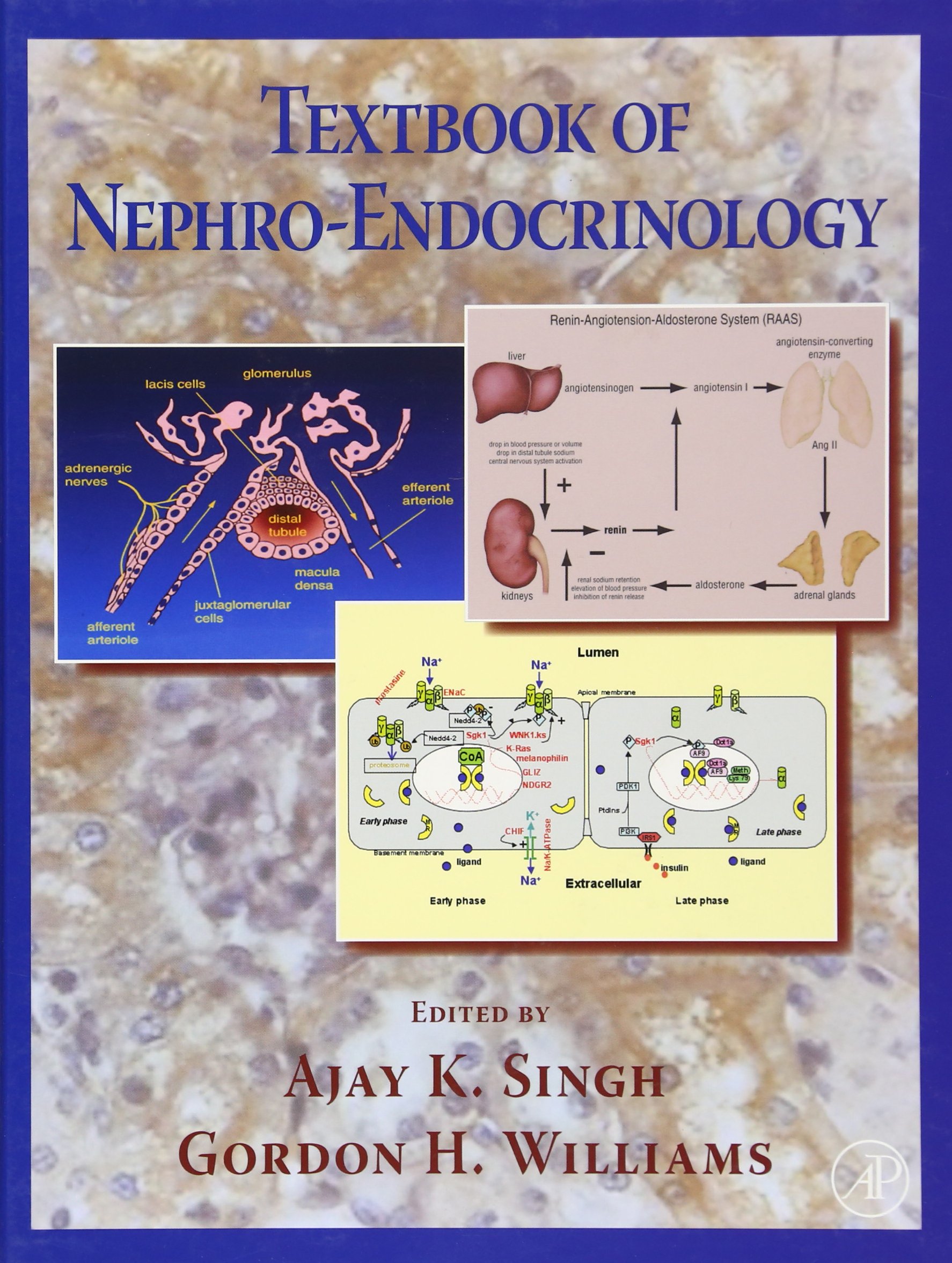 Buy Textbook of Nephro-Endocrinology Book Online at Low Prices in India ...
