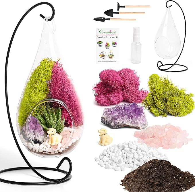 Amazon.com: Creations by Nathalie - Plant Terrarium Kit, Hanging Glass ...