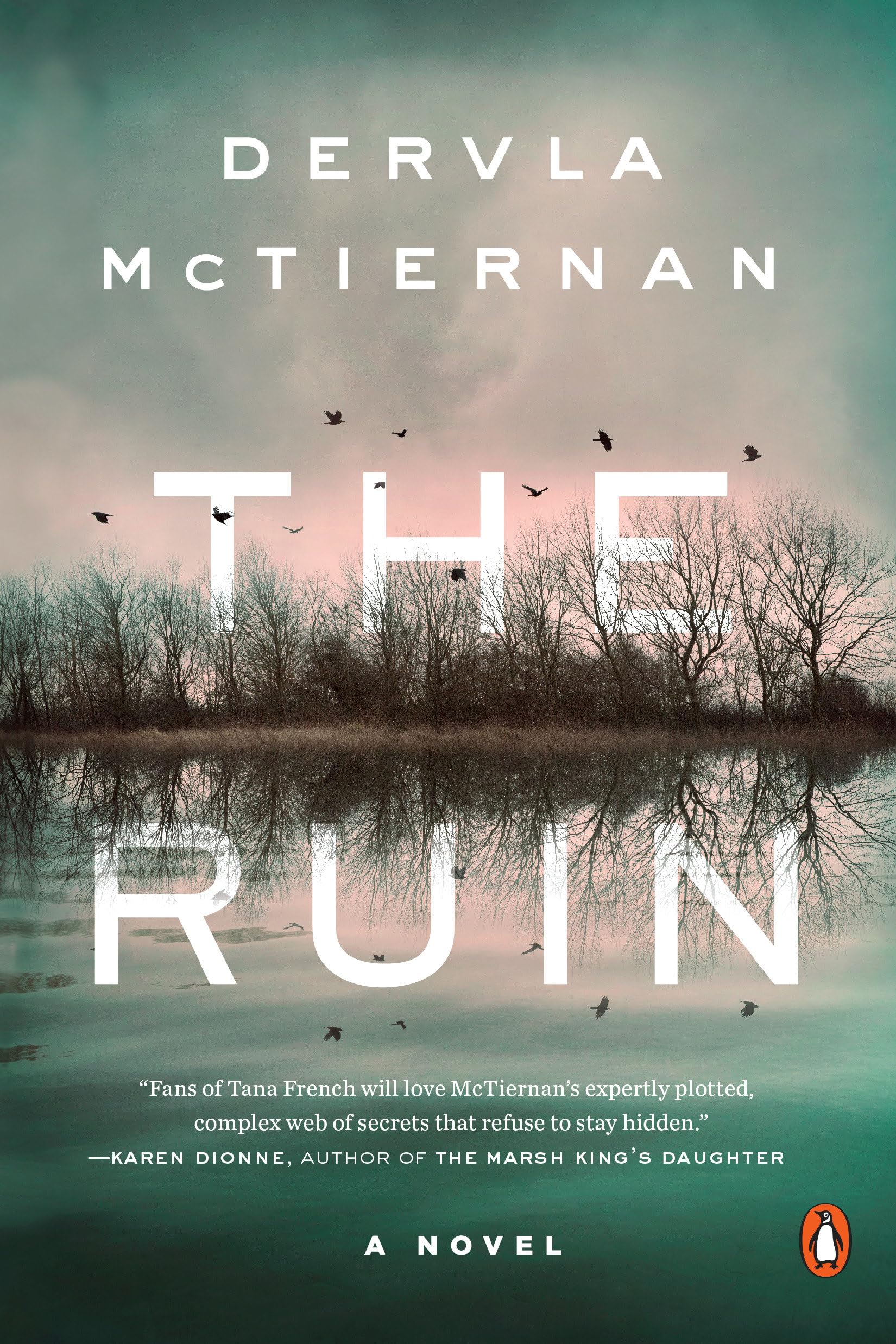 Amazon.com: The Ruin: A Novel (A Cormac Reilly Mystery): 9780143133124 ...
