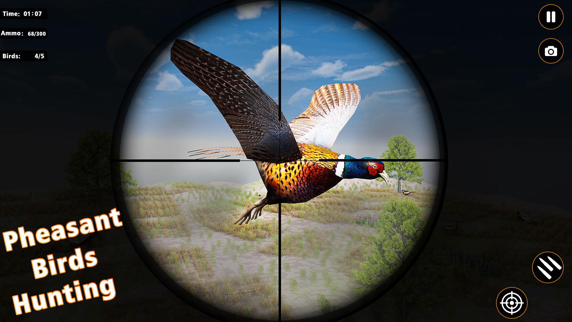 Pheasant Birds Hunting Games : Birds Hunting Wild Adventure - Pheasant ...