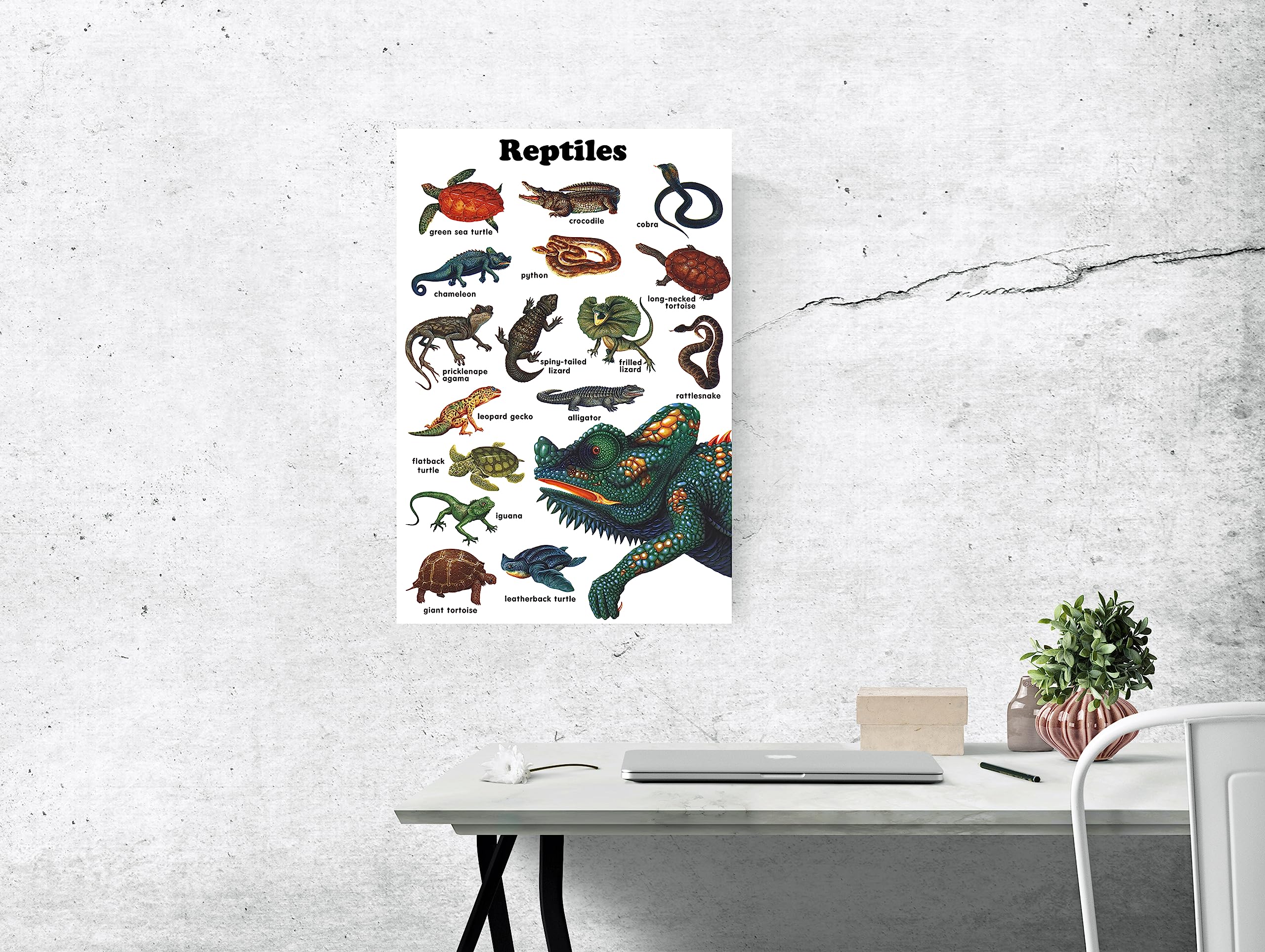 Buy Reptiles - Snakes, Aligators, Turtles, Lizards - Wall Art Online at ...